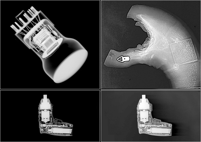 X-Ray Detector & sCMOS Camera 1 페이지 | 소프텍스코리아